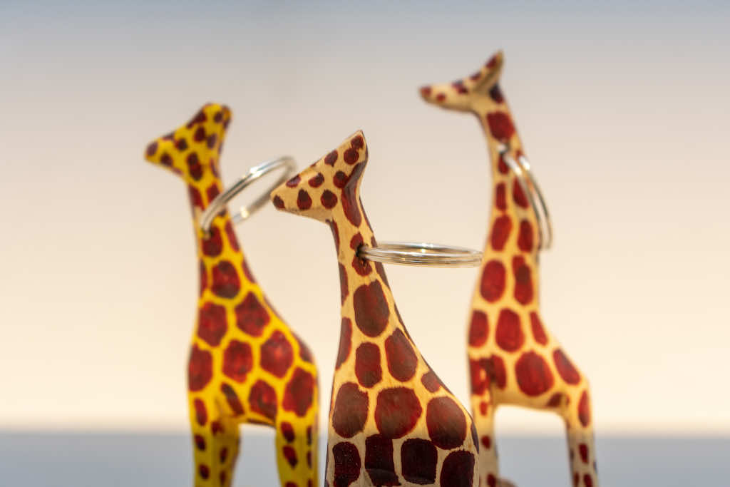 House Accessories – Jua Range