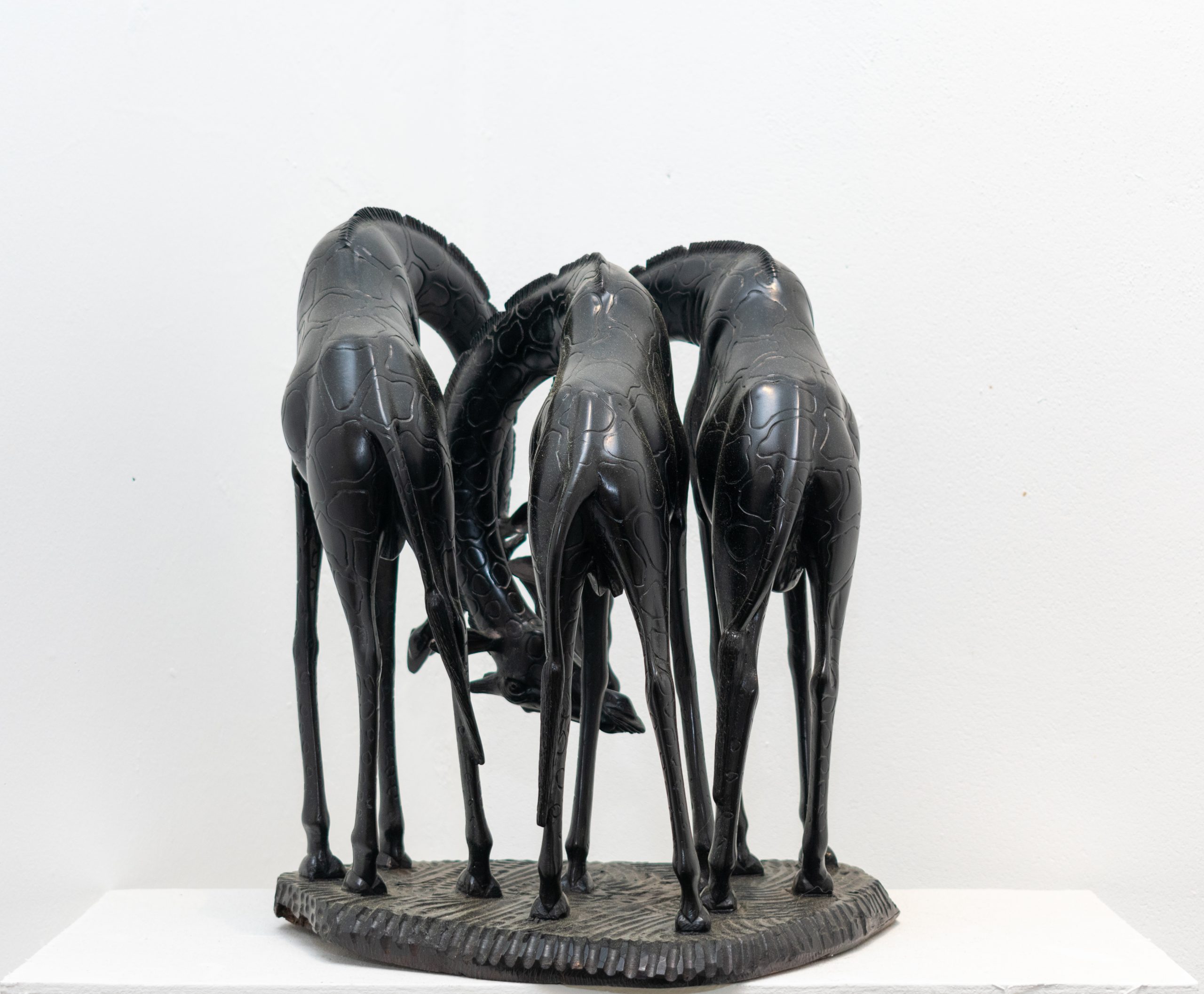 TWIGA EBONY, CAN YOU SEE IT? – Jua Range